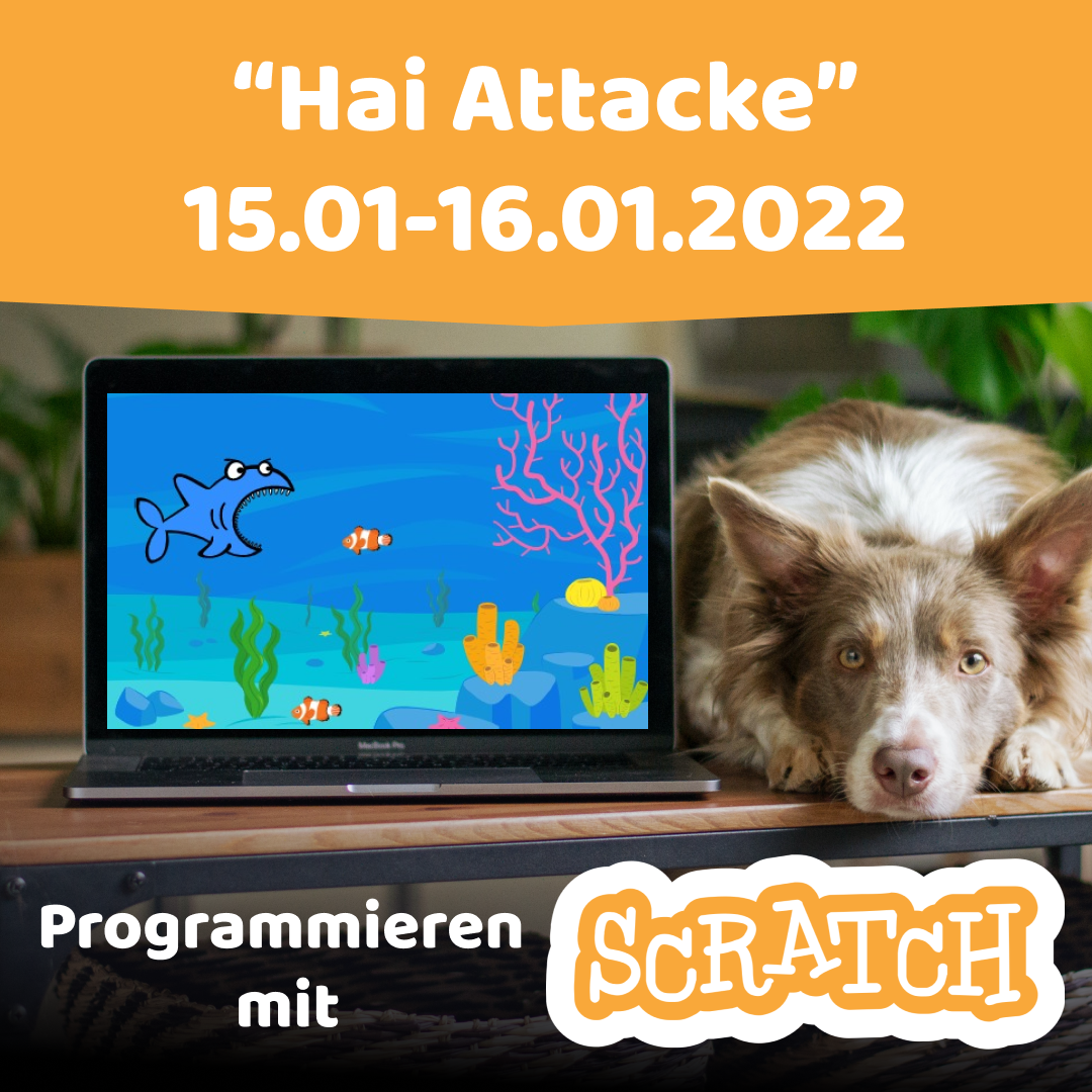 Perfekt für Weihnachten: Unsere neuen Programmierkurse für Kinder mit ...